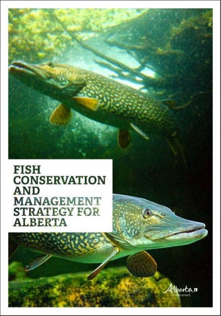 Bow River Shuttles: Fish Conservation and Management Strategy