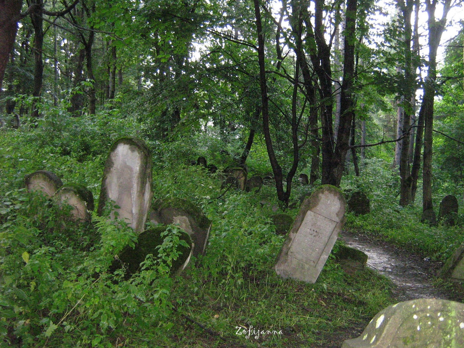 Z rakiem w tle: Ponad podziałami.