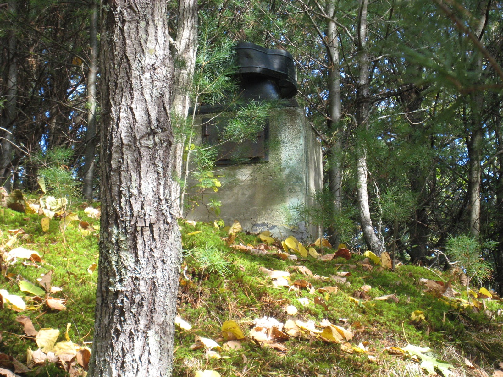 Maynard Life Outdoors and Hidden History of Maynard: 2011