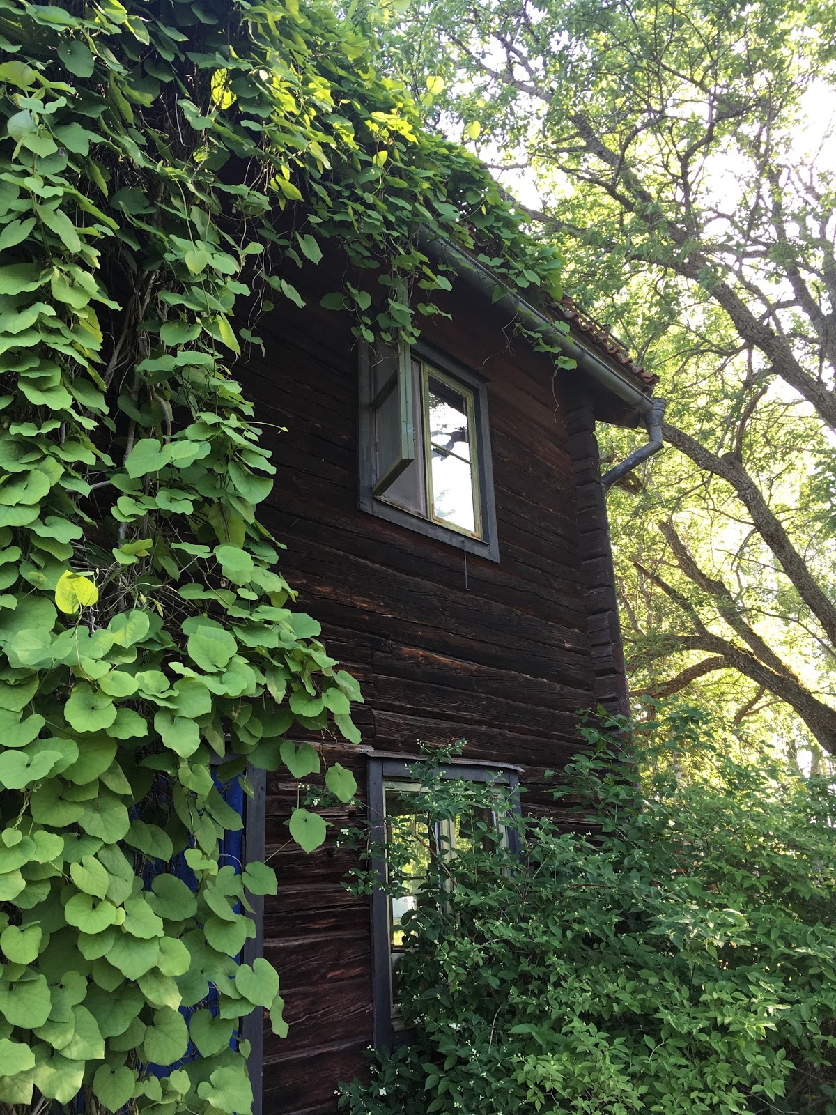 Nördic Knitting: 68. Tappade maskor och massor av tips!