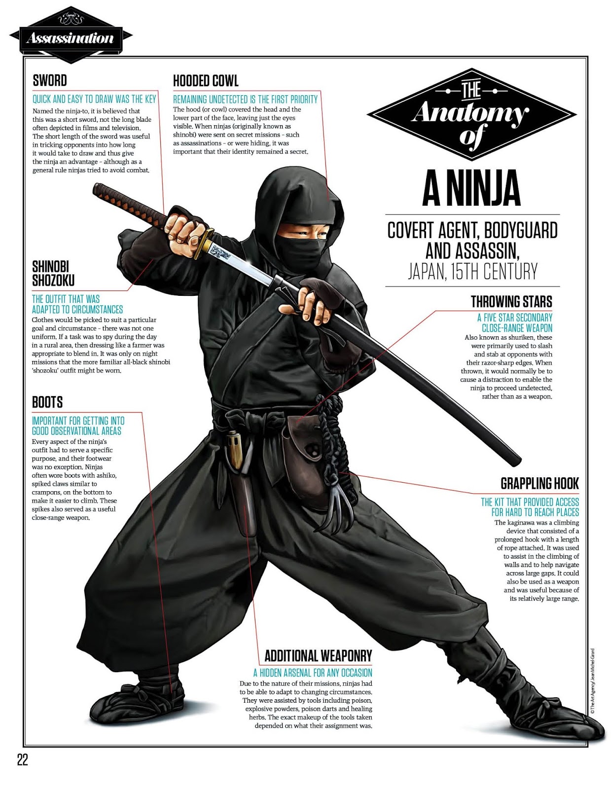 The Karate Kid Blog The Anatomy Of A Ninja the-karate-kid-blog-the-anatomy-of-a-ninja
