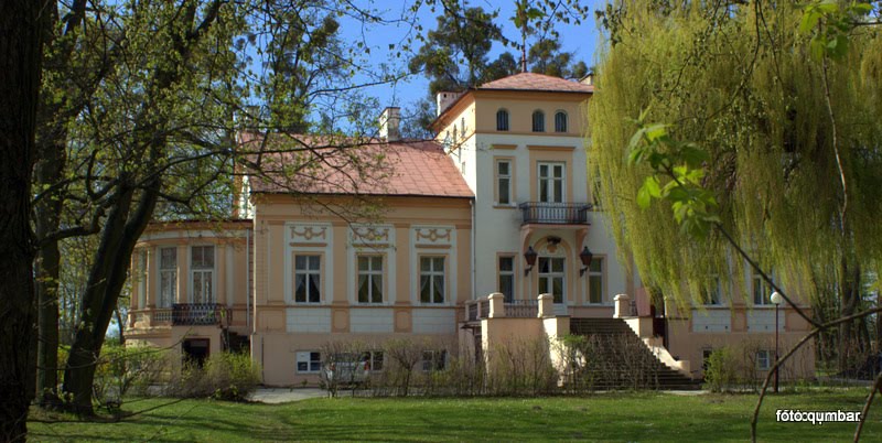 Zamki i Palace - Obiektywnie: Lisowice - Pałac Lasockich