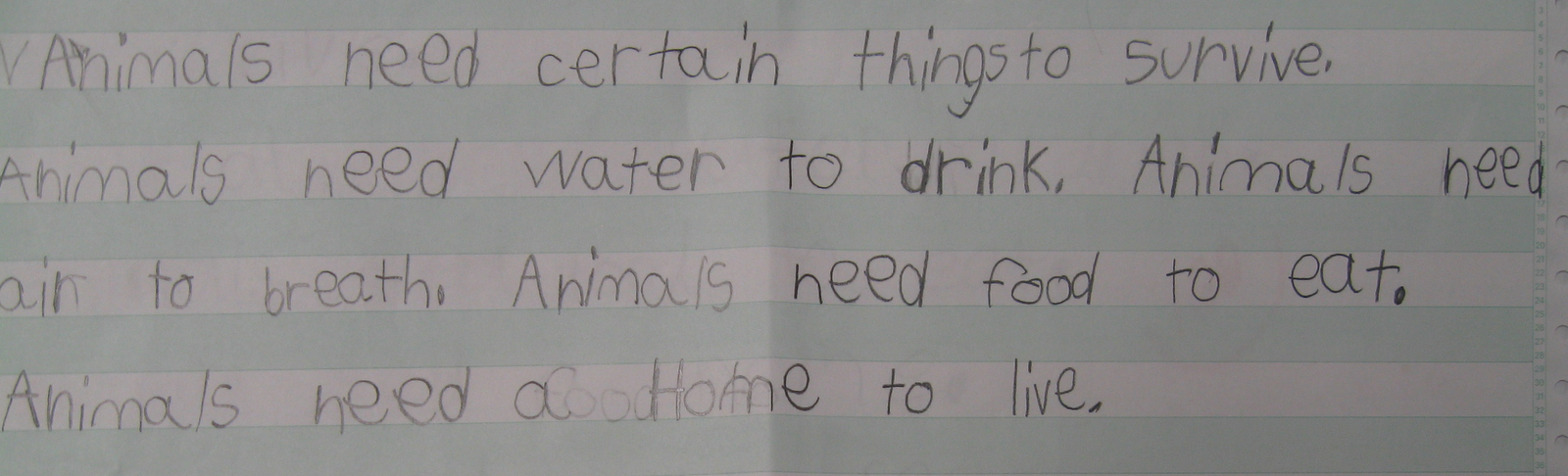 Vertebrate Animals | First Grade Shenanigans