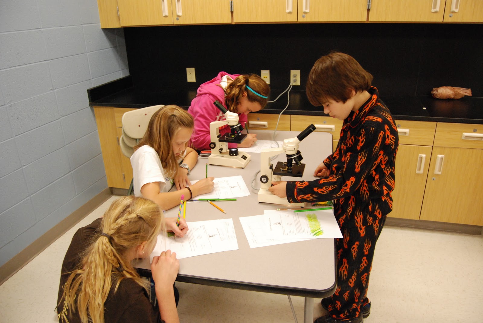 What's New at Truman: 6th Grade Science