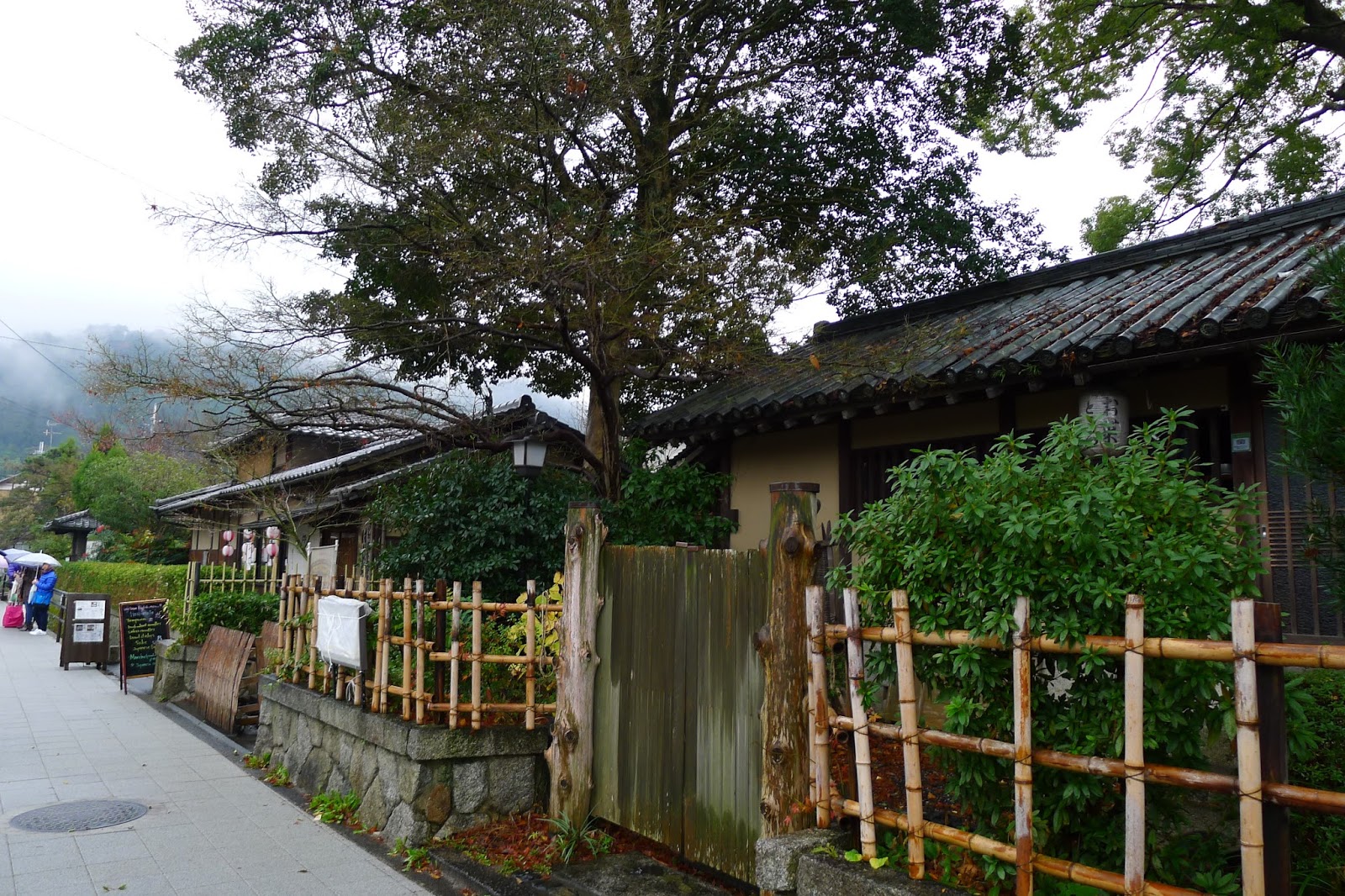 The Journey: Japan-Korea Trip Day 3: Nikita Market, Ginkaku-ji Temple ...
