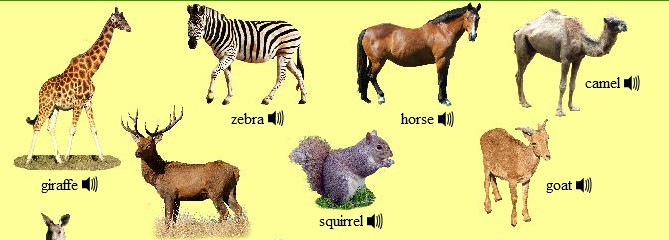 Cindy's blog in ELT: Learning chocolate---one vocabulary learning platform