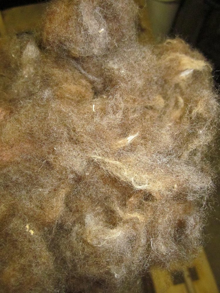 Art, beauty and well-ordered chaos: Wool Picker