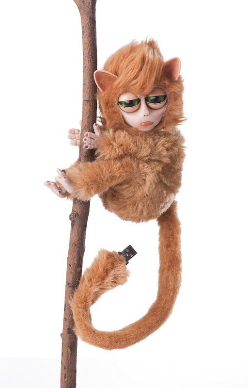 Kids in Wonderland: Tandars