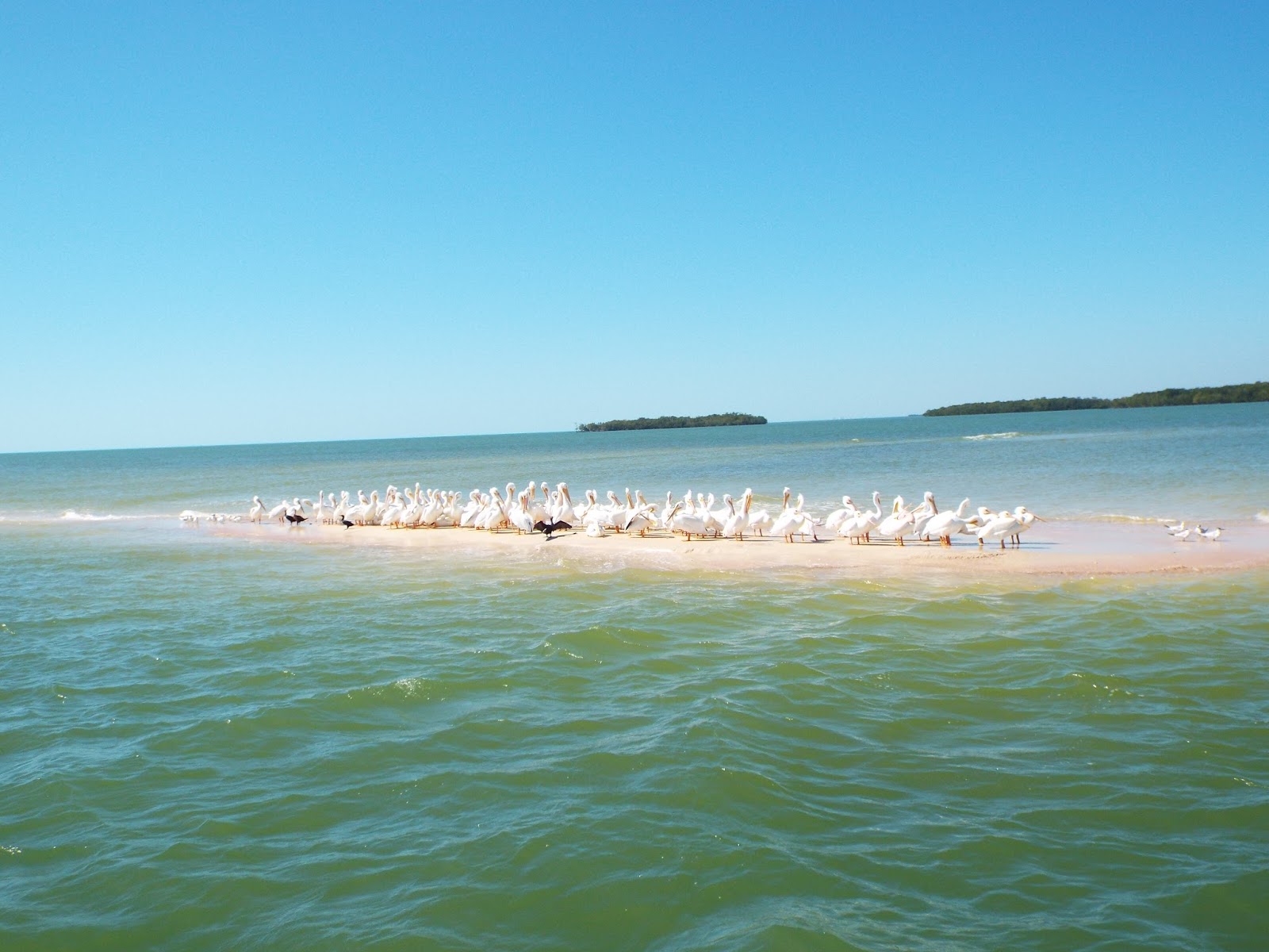 The Great Family Adventure: The Southernmost Point