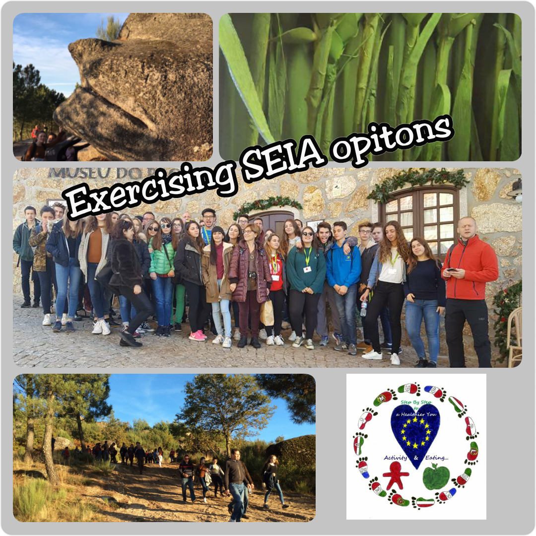 Activity-and-Eating: SMALL STEPS TO A HEALTHIER YOU : 2016