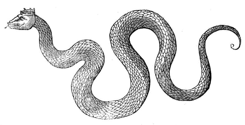 IL BISCIONE DI MILANO: L'ICONA CHE DIVENTA SIMBOLO - Polisemantica