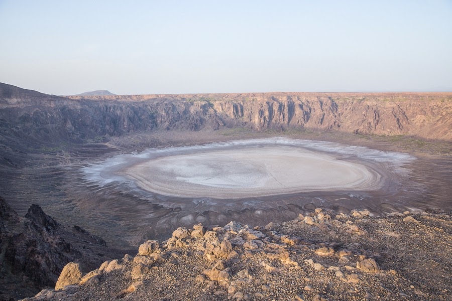 Birds of Saudi Arabia: Wahba Crater or Makla Tamiah - near Taif