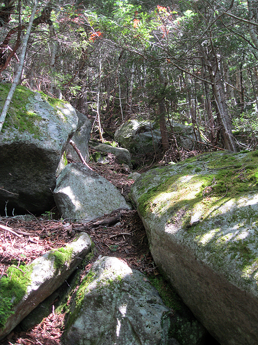Hiking in the White Mountains: The Abandoned Adams Slide Trail