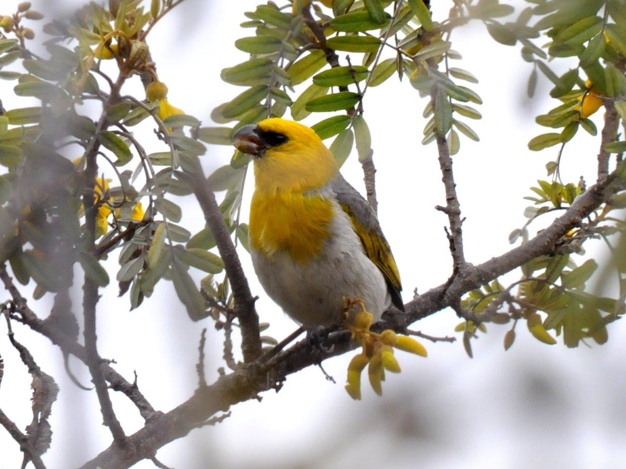 Simon Boyes: May 2013