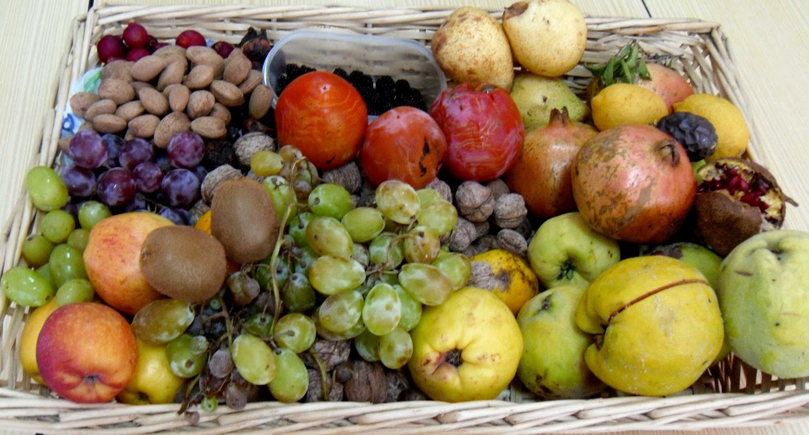 Jardim de Infância de Achete: O outono e os frutos