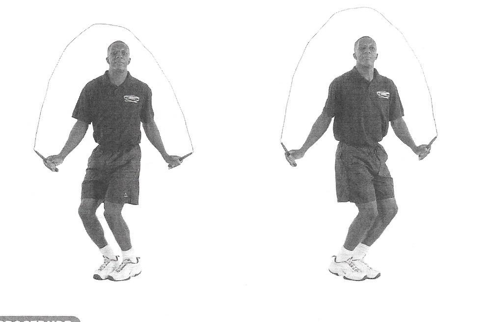 LOS 15 PASOS DE COMBA