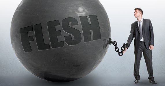 Lucia's Blog: THE WORKS OF THE FLESH ARE EVIDENT