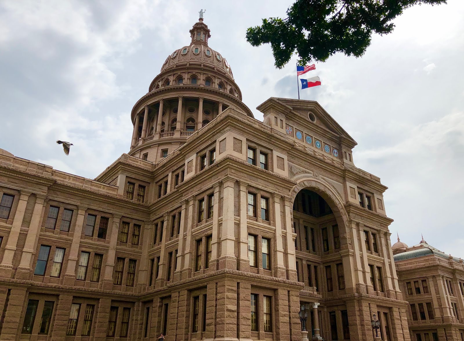 It's All About Purple: The Capital, Austin Texas