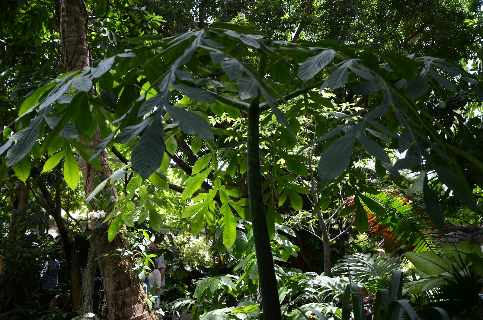 L PENDERGRAST'S APBIOLOGY: Kelly - scavenger hunt post #8