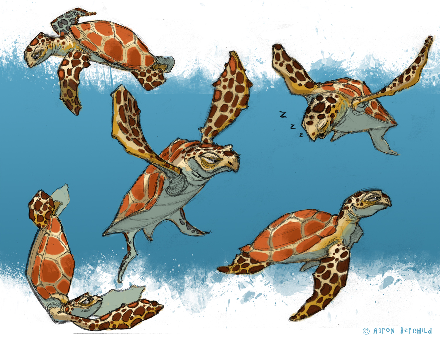 Aaron's Blah Blah Blog: Sea Turtle