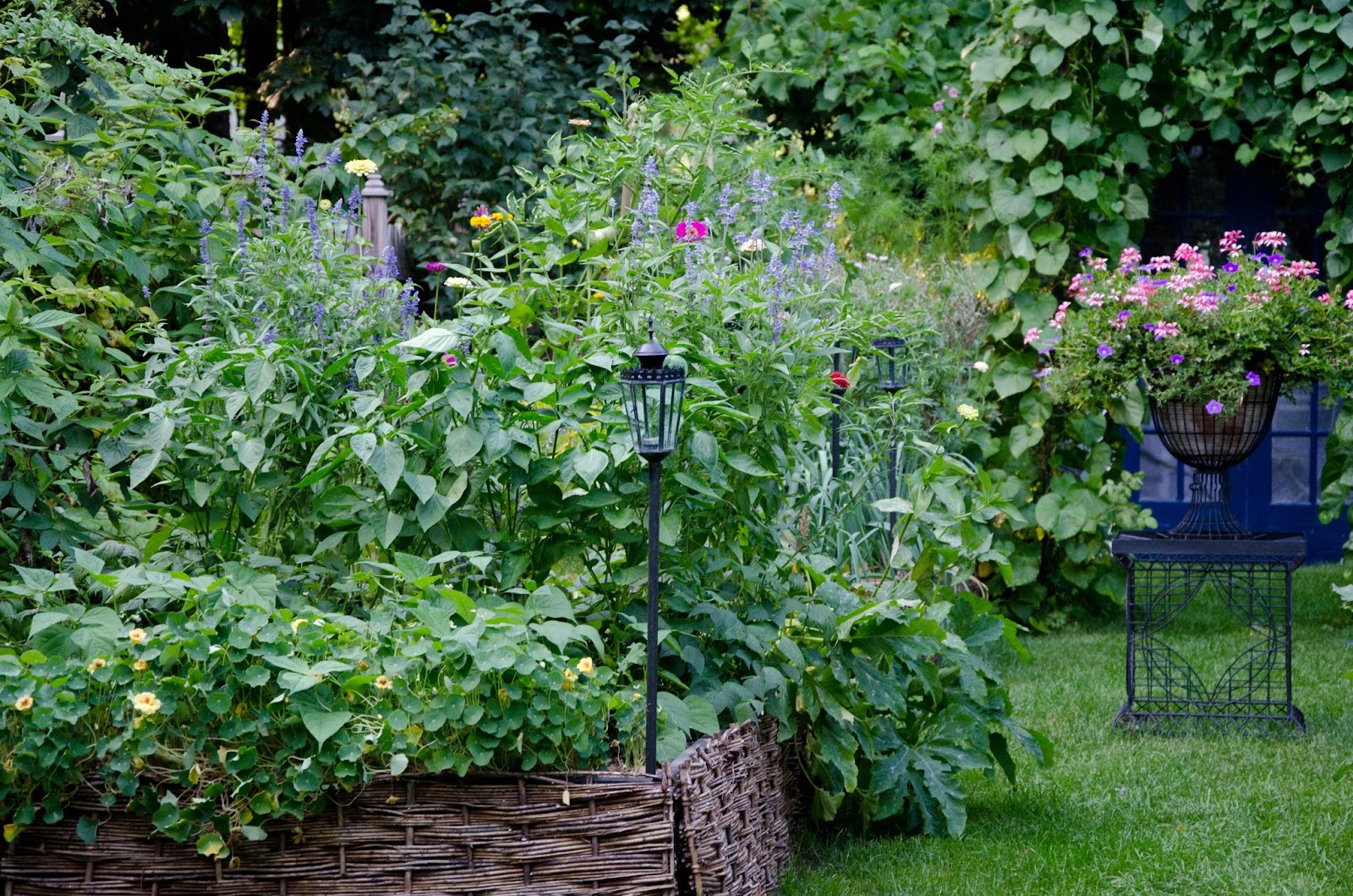 4 Favorite Garden Seed Sources | The Devine Life