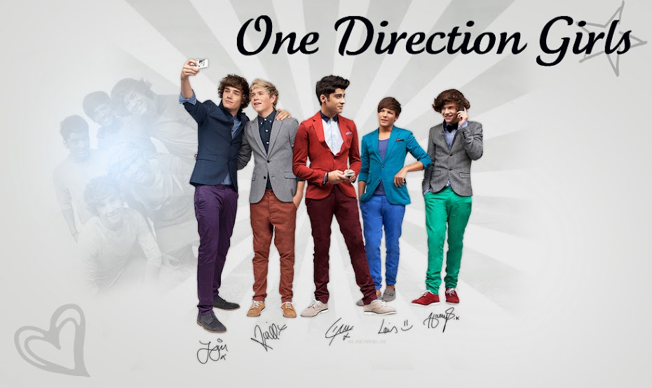 One Direction Girls: Facts :)