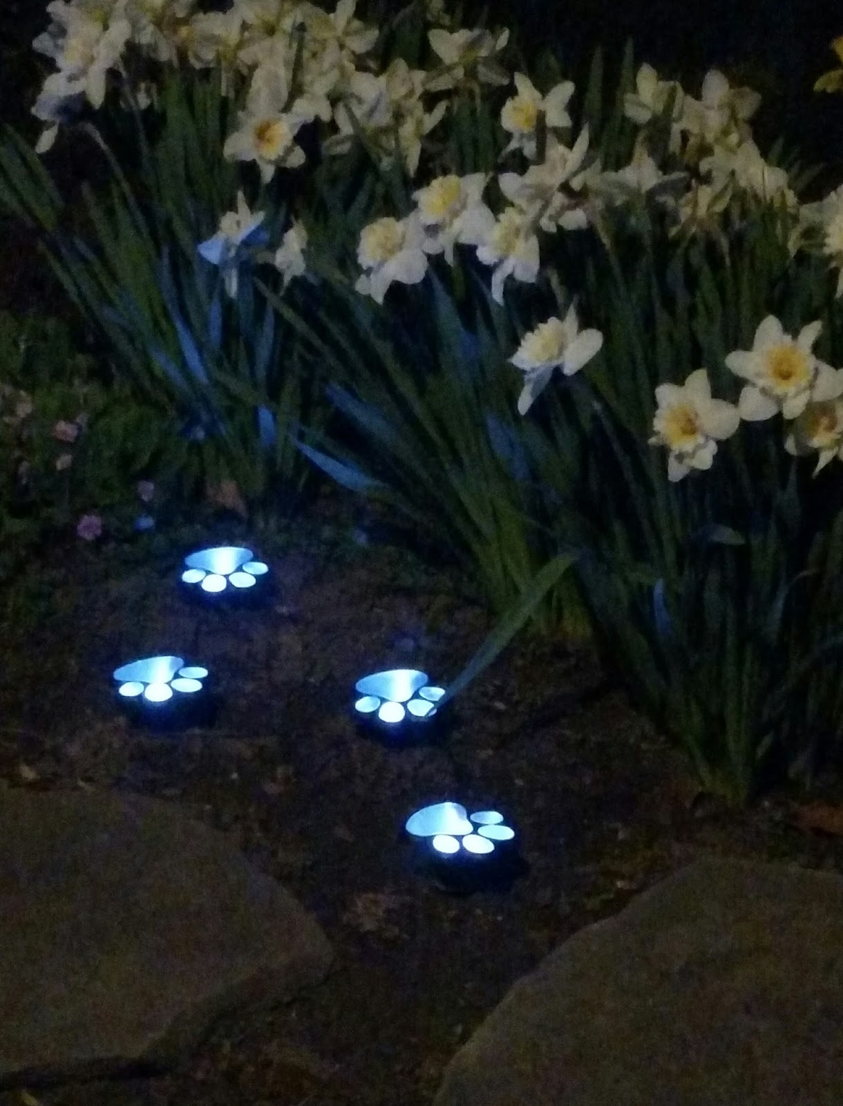 Paw Print Solar Lights for a Whimsical Garden