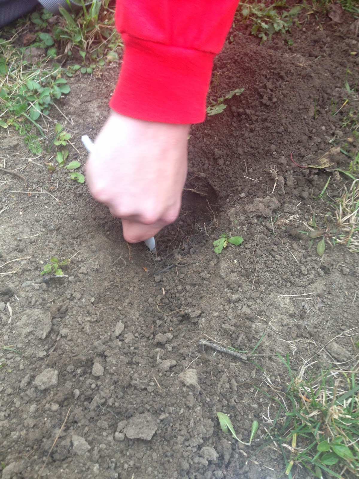 Soil: The Foundation of Life: Collecting Our Soil