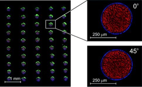 Συσκευές laser βγαίνουν για πρώτη φορά από τον εκτυπωτή