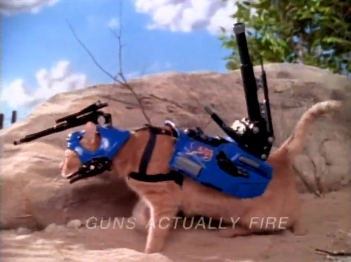 GAMMA WORLD WAR!: Video: Action Cats are Awesome!