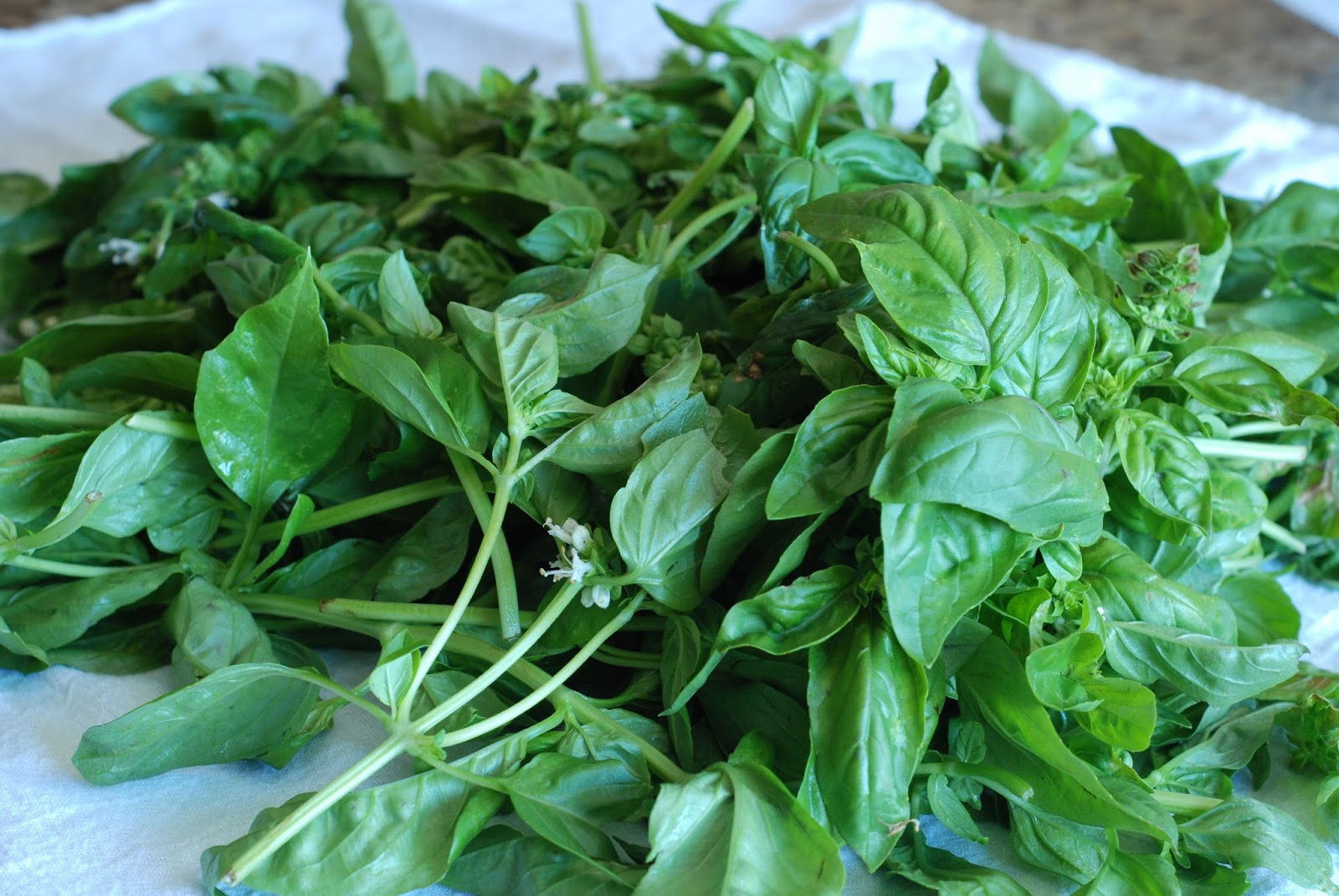 Basil Pesto from the Garden - Simply So Good