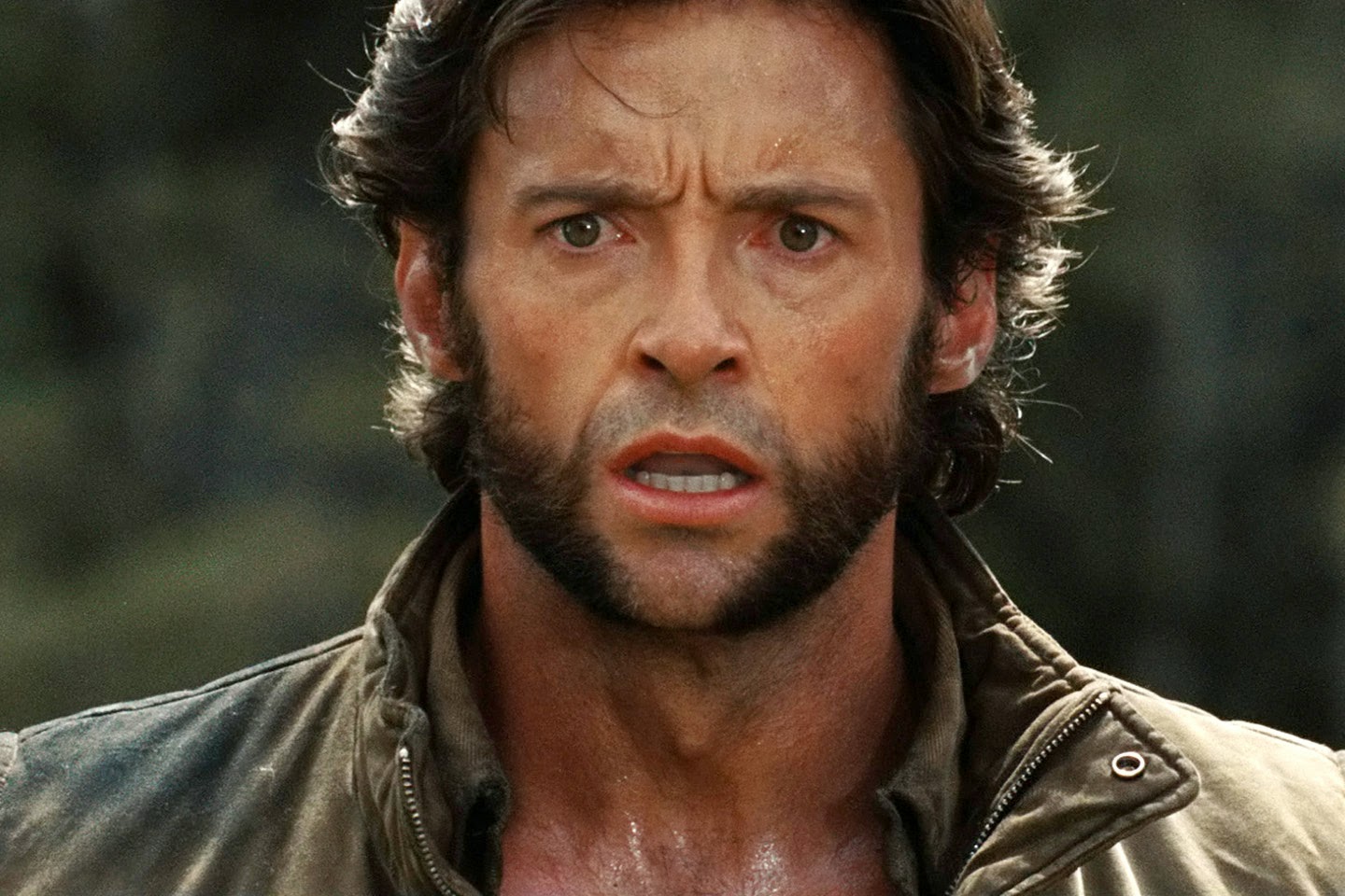 Hugh Jackman | Celebrity HD Wallpapers