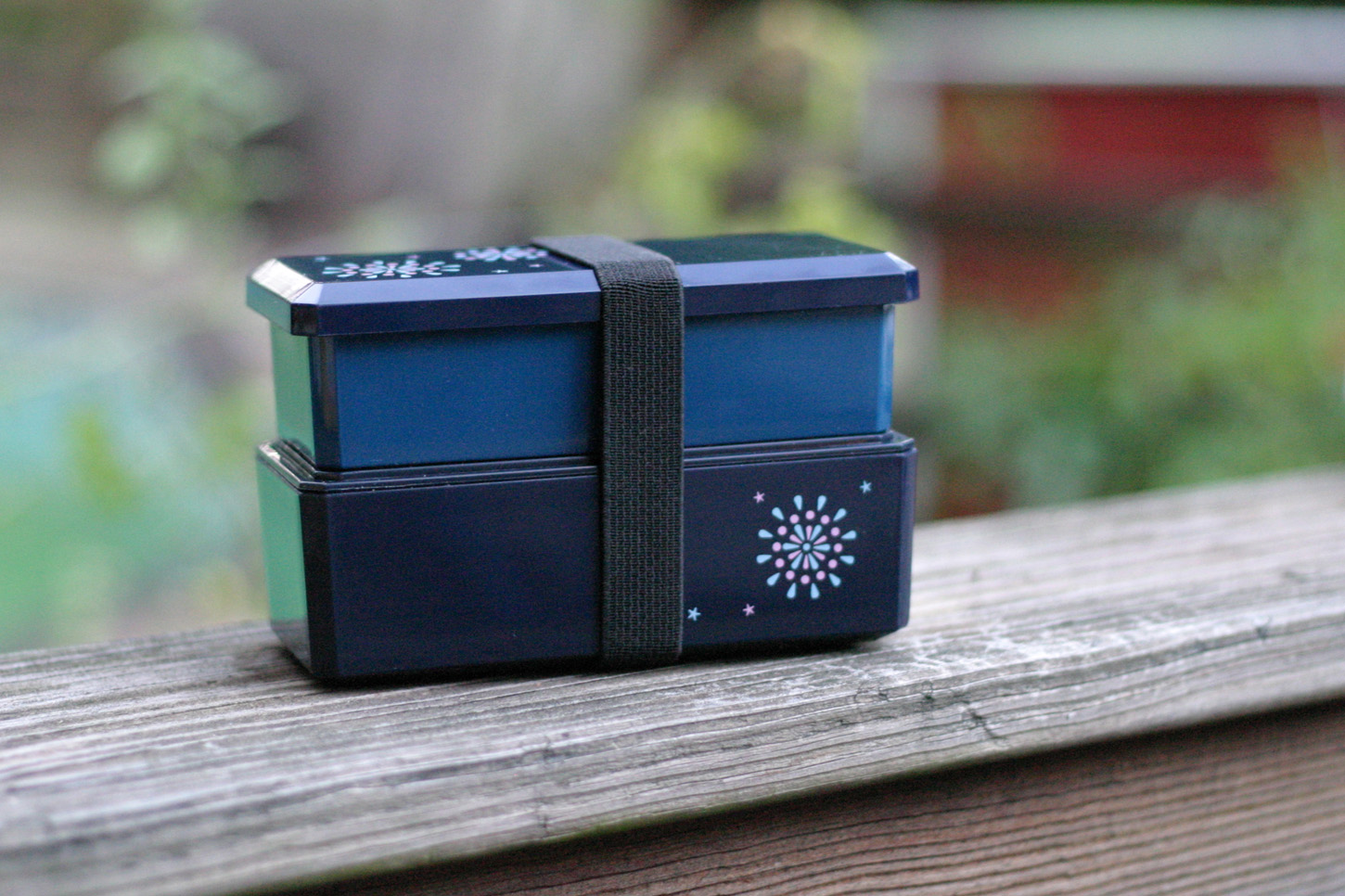 One Girl's Bento: Blue Box