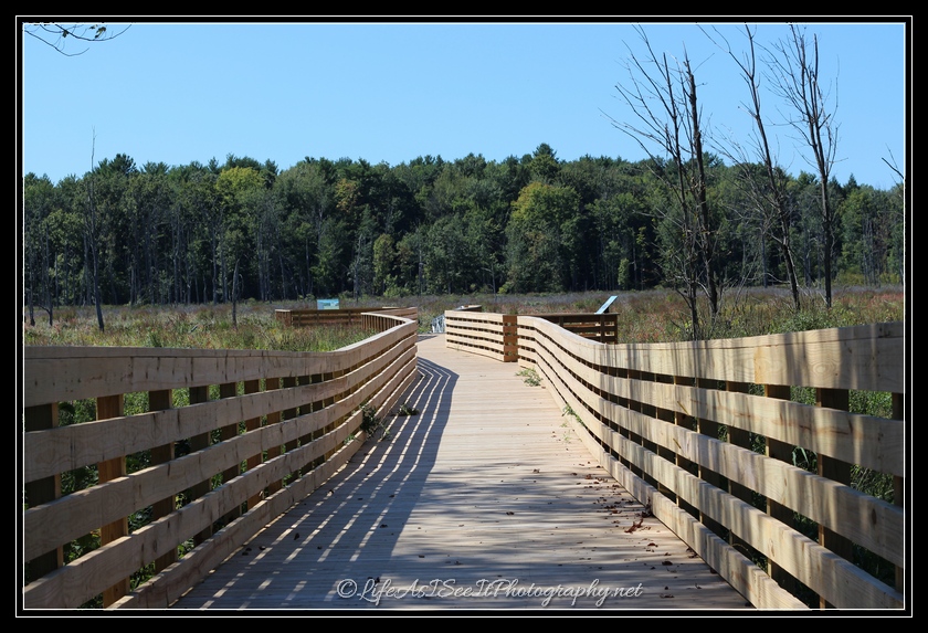 Beauty and Serenity at the Round Lake Preserve | Life As I See It