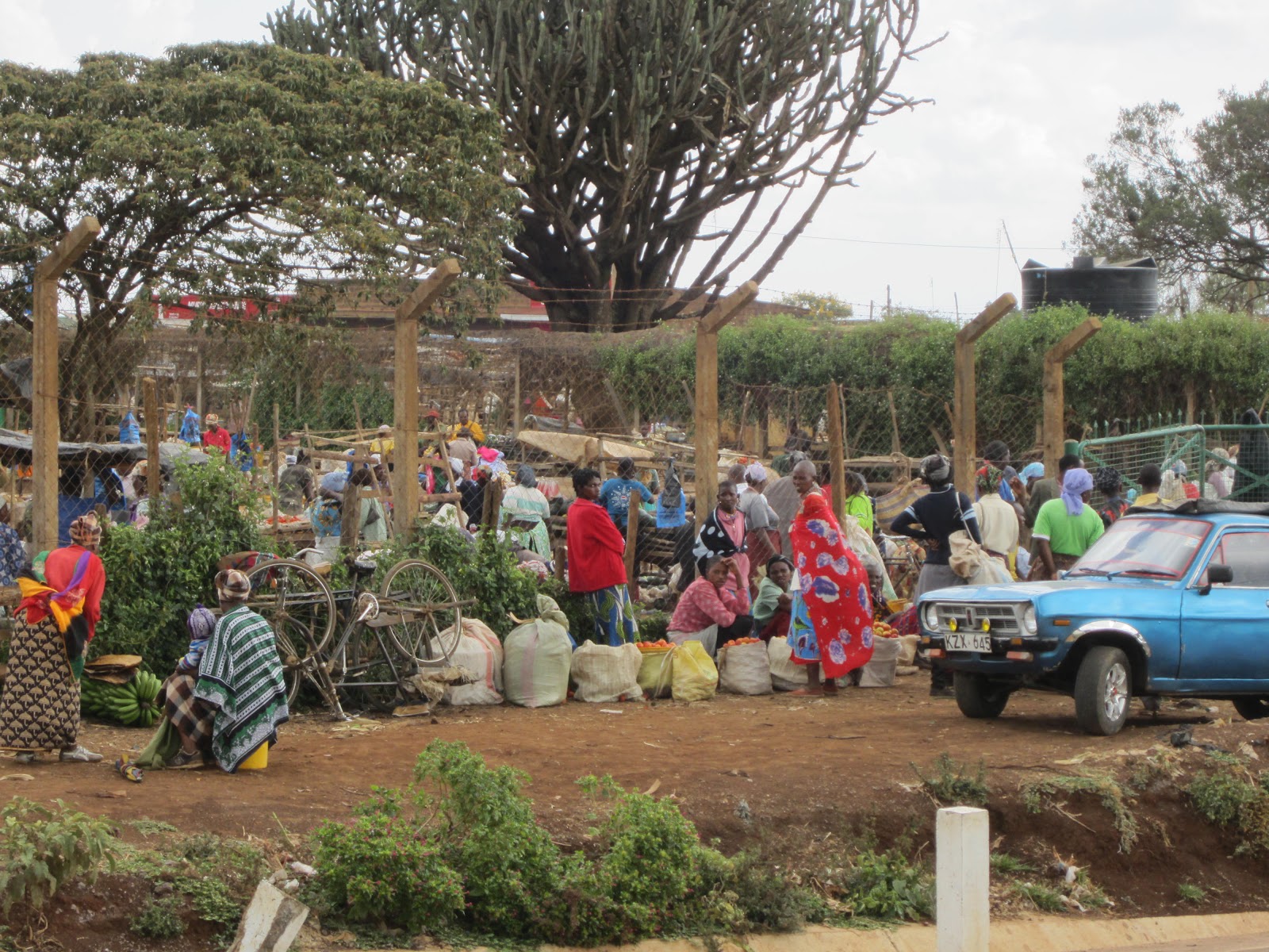 YNEZ' ADVENTURES IN AFRICA: Loitokitok april 2012