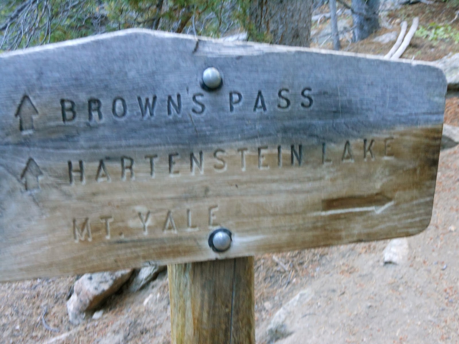 Peace. Love. Hike.: Hiking Mount Yale- My First 14er!