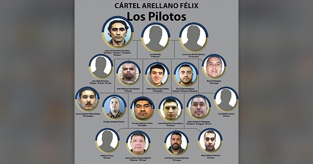 The Benjamines of the Cartel Arellano Felix ~ Borderland Beat