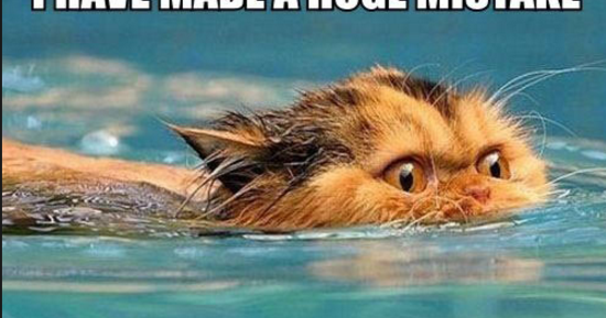 The Shadowland - a USAFA journey: Pull Breath, Kick Glide