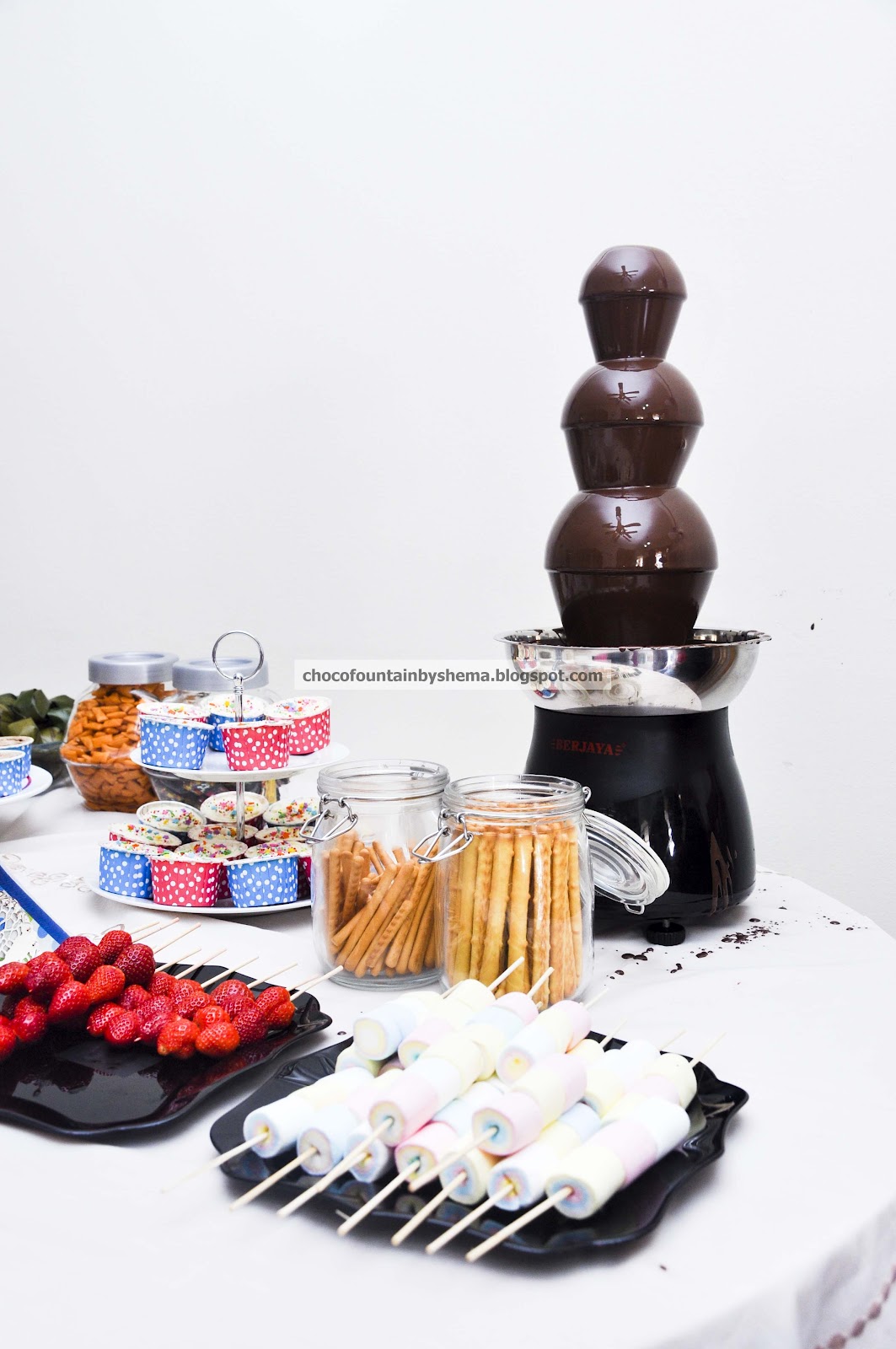 Choco Fountain by SHEMA: Choco fountain by Shema @ small birthday parties