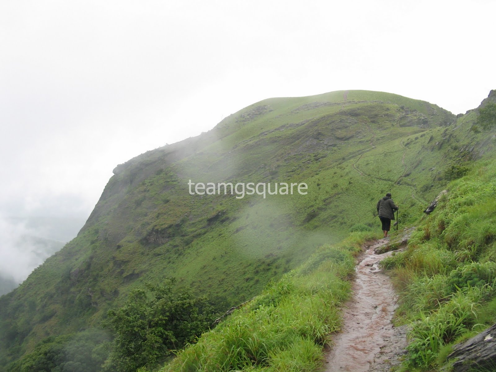 Team G Square: Z Point Trek - Kemmannagundi, Chikmagalur