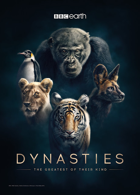 Dynasties - The greatest of their kind