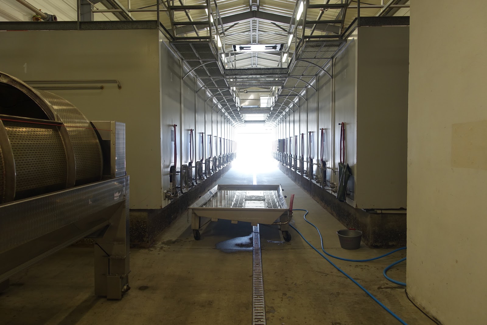 schiller-wine: Cellar Tour and Tasting at Maison Delas-Frères in Saint ...