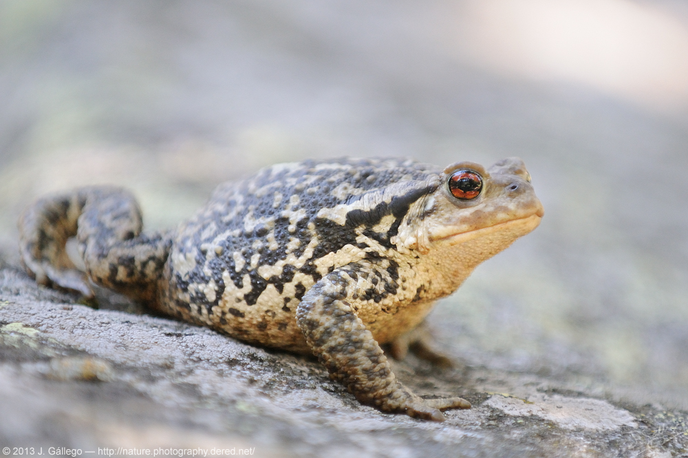 macroinstantes: 2013