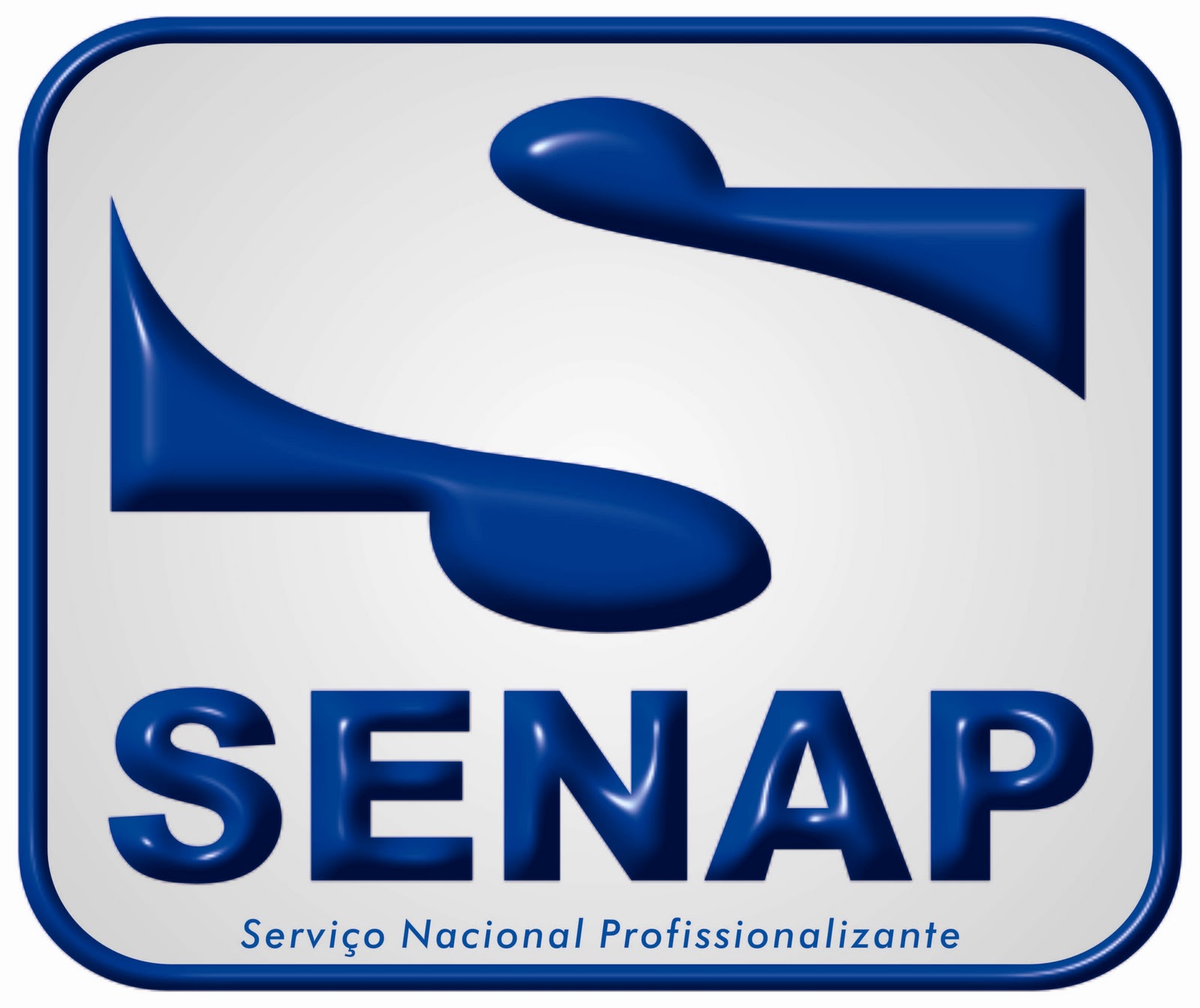 RETROSPECTIVA 2011 - SENAP | Curso SENAP | BLOG