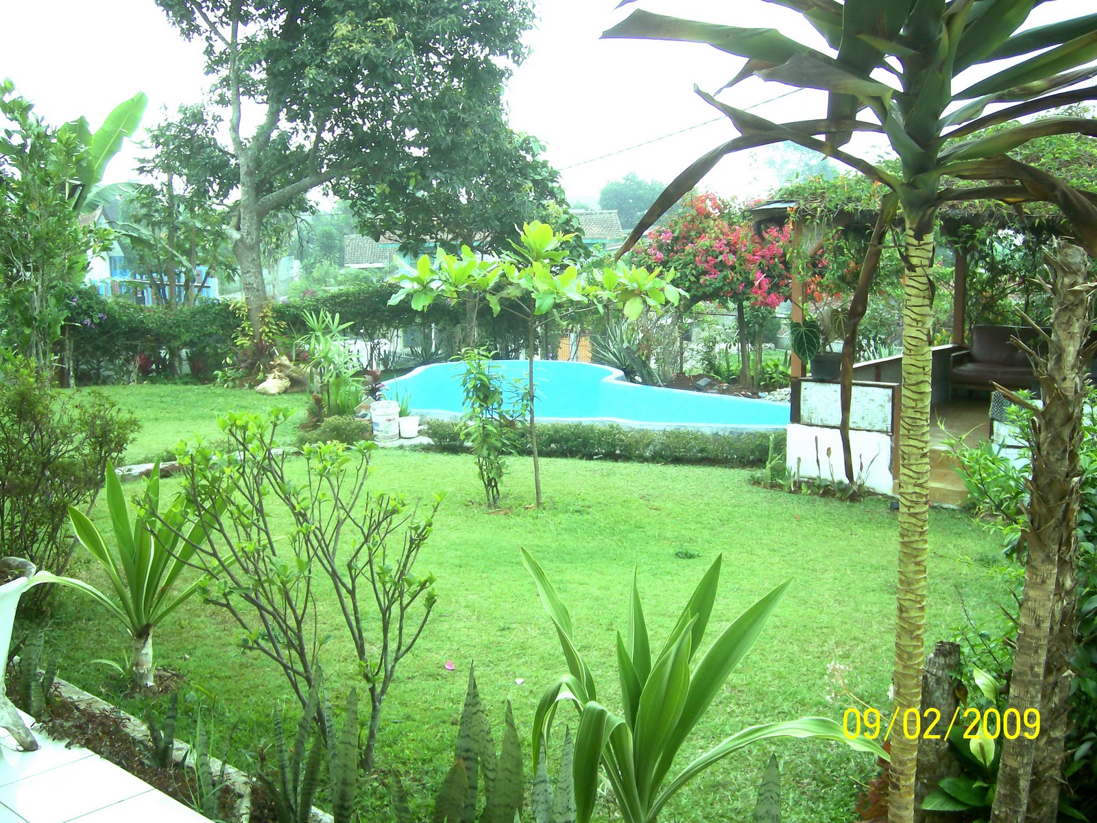 Kota Bunga Cipanas ~ Bumi Nusantara