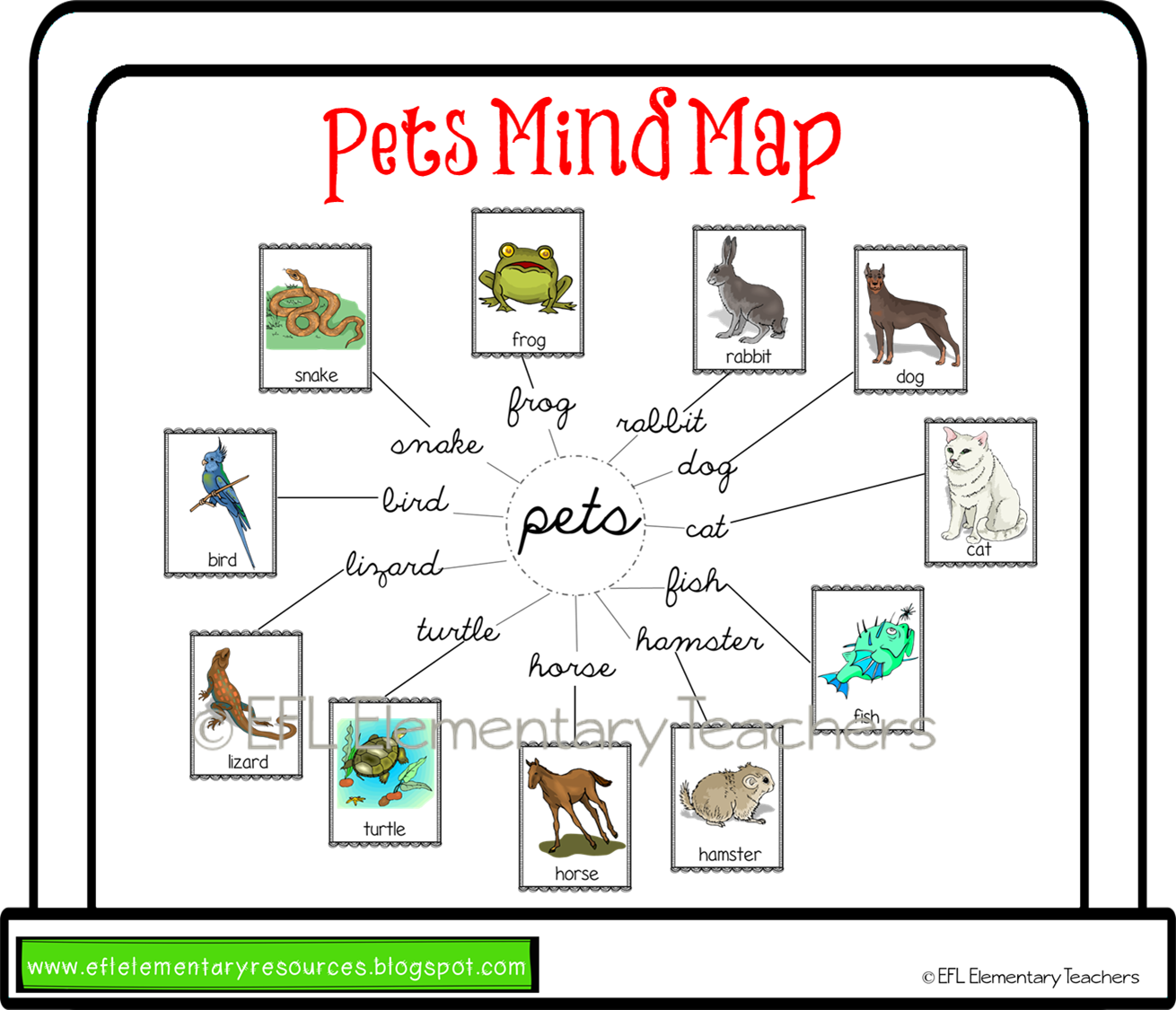 EFL Elementary Teachers: Pet theme for Elementary Language Learners