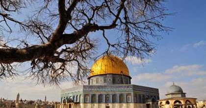 TERRA MIPIBU: O DOMO DA ROCHA FOI CONSTRUÍDA ORGINALMENTE PARA OS ...