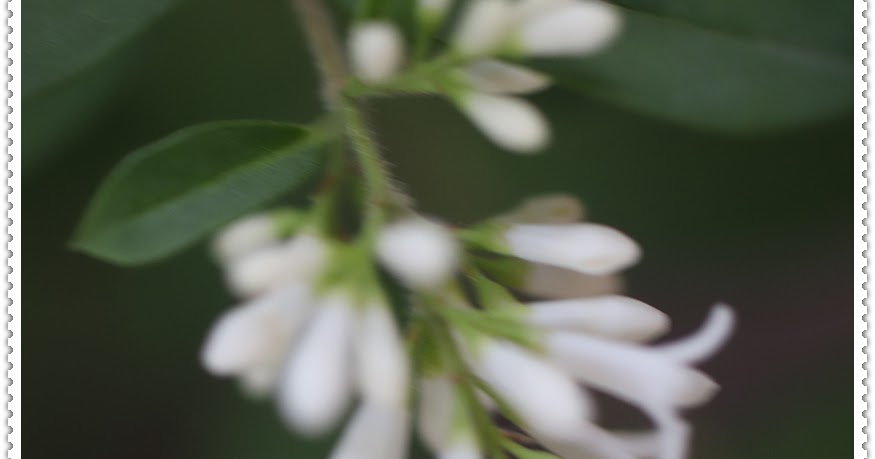 The Scriptures: Mark-05-36