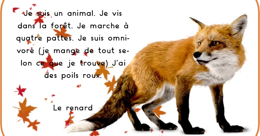 Devinette Pour Maternelle Animaux