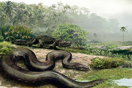 Pata uhondo: Biggest Snakes in the World Ever Discovered